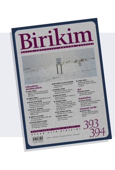 Birikim Ocak-Şubat
