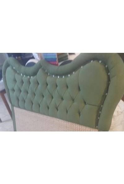 Güneş Başlık Kelebek Baza Başlığı