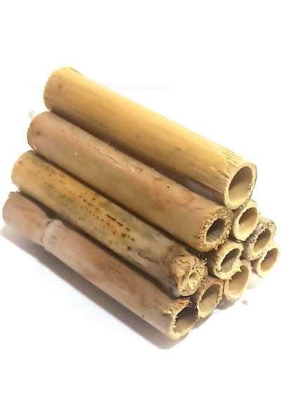 Canlipetshop 10 ' Lu Uretim Kamışı (10 Cm) Canlipetshop 10 ' Lu Uretim Kamışı (10 Cm)