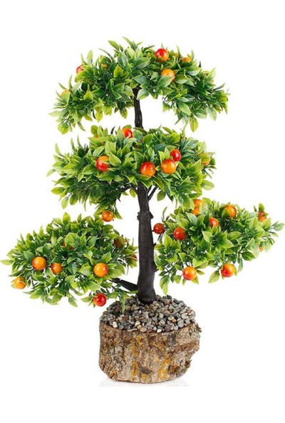 Erva Tohum Erik Bonzai Ağacı Tohumu 2'li Bonsai Tohumu Erva Tohum Erik Bonzai Ağacı Tohumu 2'li Bonsai Tohumu