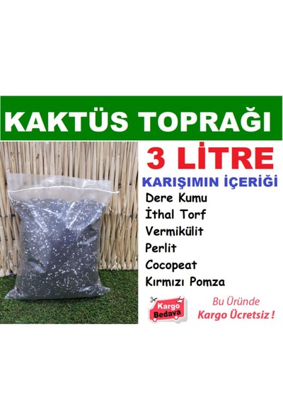 Kaktüs Toprağı 3 Lt 6 Karışım Sukulent Aloe Vera Lithops Toprağı Kaktüs Harcı Teraryum Toprağı Kaktüs Toprağı 3 Lt 6 Karışım Sukulent Aloe Vera Lithops Toprağı Kaktüs Harcı Teraryum Toprağı