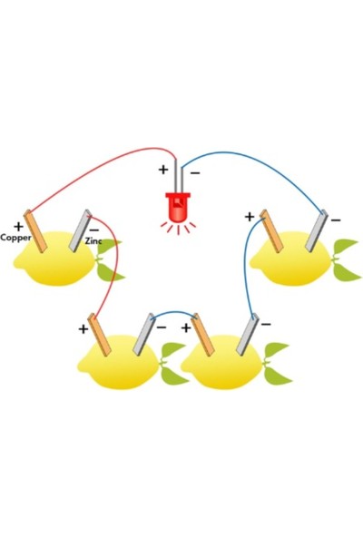 Hellove Limon Deney Seti Limondan Elektrik Üretimi Yapım Seti Limon Pili Hellove Limon Deney Seti Limondan Elektrik Üretimi Yapım Seti Limon Pili
