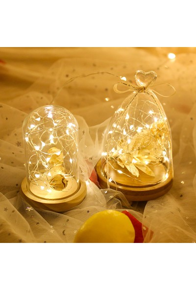 Net Sepette Peri LED Dolanabilen Işık Net Sepette Peri LED Dolanabilen Işık