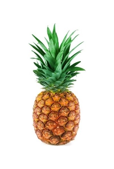 Erva Tohum Tropikal Ananas Meyvesi Tohumu 5'li