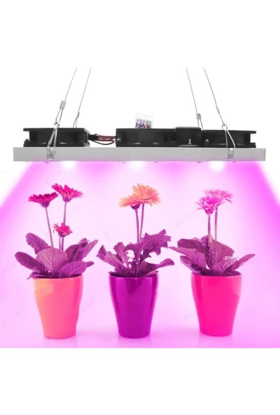 Elitel Full Spektrum Bitki Yetiştirme Işığı 300W Elitel Full Spektrum Bitki Yetiştirme Işığı 300W