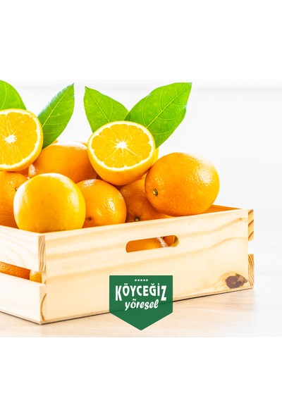 Köyceğiz Yöresel Köyceğiz Portakalı 4 Kg