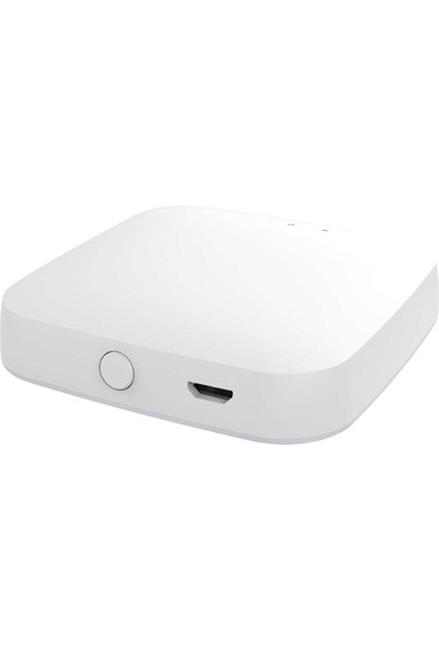 Prettyia Çok Modlu Akıllı Akülü Ağ Geçidi Uygulaması / Ses Kontrolü Ev Asistanı (Yurt Dışından)