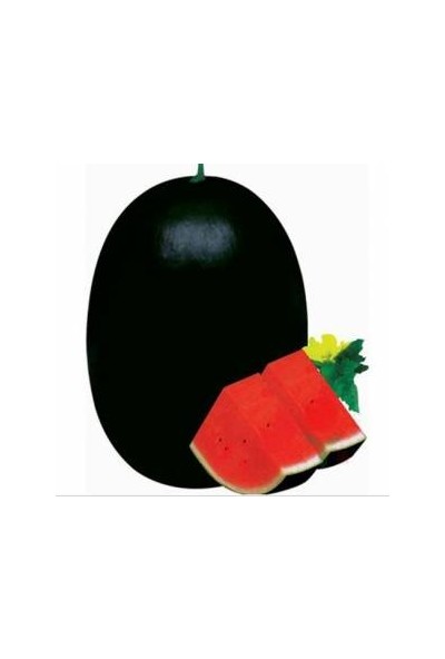 Köy Tohumları 25 Adet Tohum Büyük Iri Boy Siyah Kara Bal Karpuz