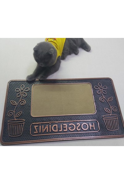 Taşkın Home Kapı Önü Paspası