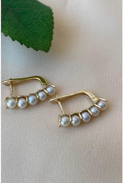 Birinci 1926 14 Ayar Altın Kadın Beş Incili Küpe Set Birinci 1926 14 Ayar Altın Kadın Beş Incili Küpe Set