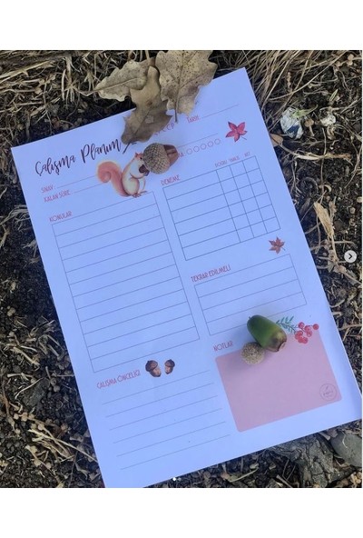 Papiro Paperworks Papiro Sonbahar Çalışma Planlayıcı Papiro Sonbahar Çalışma Planlayıcı Papiro Sonbahar Çalışma Planlayıcı Papiro Sonbahar Çalışma Planlayıcı