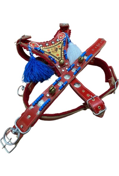 Sürmeli Tasma Gladyatör Kangal Köpek Tasma Seti Göğüslük Boyunluk Kırmızı