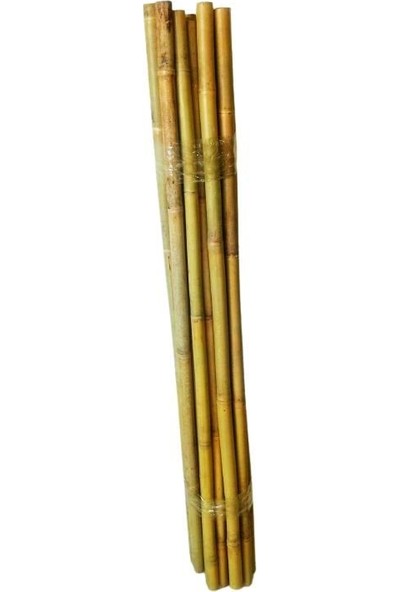 Bambu Orjinal 10 Adet 1 Metre Boyunda Bambu Çubuklar 20-22 mm Kalınlıkta Bamboo