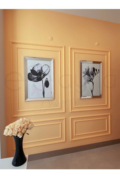 Efe Ayna Dekorasyon Siyah Çiçek-Ikili Gümüş Ayna Tablo