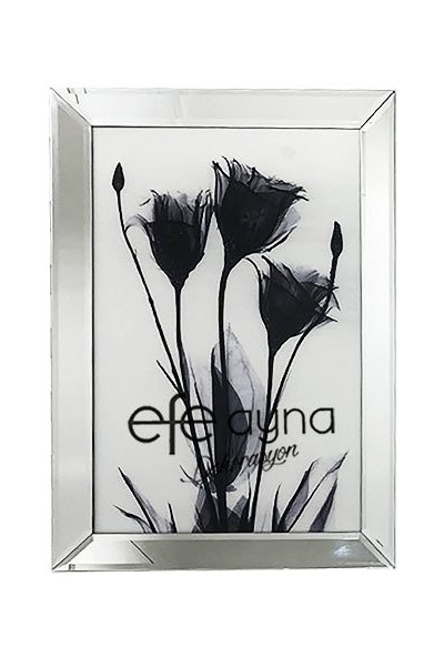 Efe Ayna Dekorasyon Siyah Çiçek-Tekli Gümüş Ayna Tablo