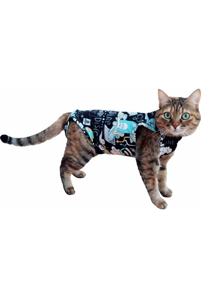 Stylie Kedi Ameliyat Sonrası Giysisi Siyah S Stylie Kedi Ameliyat Sonrası Giysisi Siyah S
