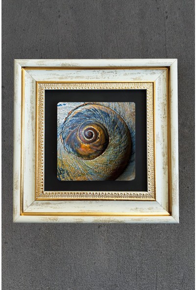 Begoloni Antik Çerçeveli Doğal Taş Salyangoz Baskılı 22X22CM Duvar Dekoru Tablo Begoloni Antik Çerçeveli Doğal Taş Salyangoz Baskılı 22X22CM Duvar Dekoru Tablo