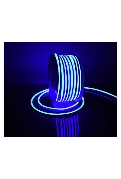 Powermaster 9*16 Hortum LED 5 Metre Mavi 220 Volt (Minimum 1 Mt. Kesilebilir) Powermaster 9*16 Hortum LED 5 Metre Mavi 220 Volt (Minimum 1 Mt. Kesilebilir)
