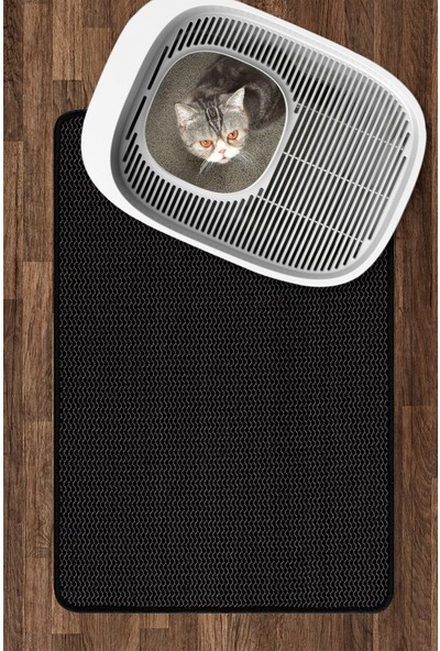 Caretta Home Modern Dekoratif Dayanıklı Yıkanabilir Toz Ve Kir Hazneli Kapı Önü Paspası