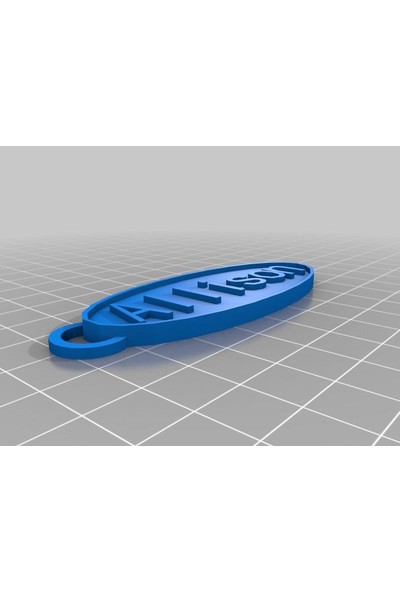 Aldım Geldi Allison Un Özelleştirilmiş Oval Anahtarlık Plastik Aparat