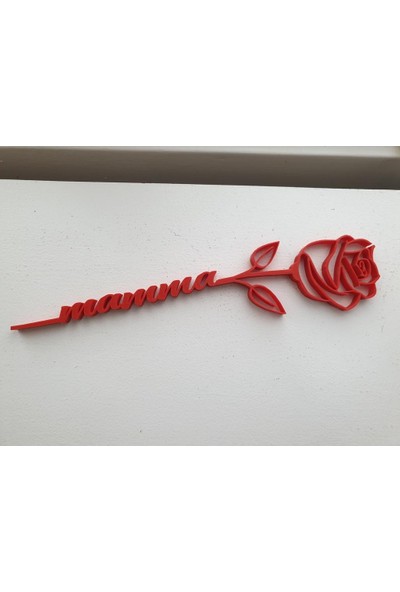 Aldım Geldi Anneler Günü Gül Mamma Plastik Aparat