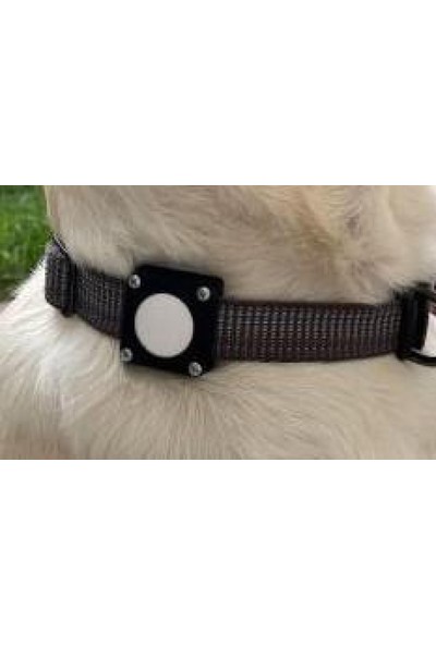 Aldım Geldi Airtag Köpek Yakası Plastik Aparat
