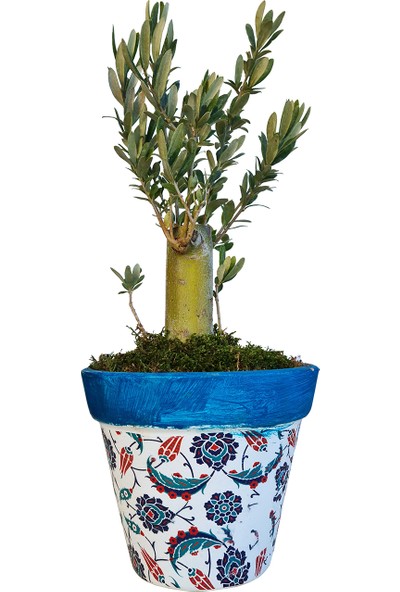 Fideland İznik Çini Baskılı Toprak Saksılı Zeytin