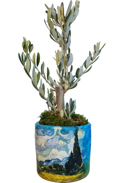 Fideland Van Gogh – Buğday Tarlası Baskılı Toprak Saksılı Zeytin