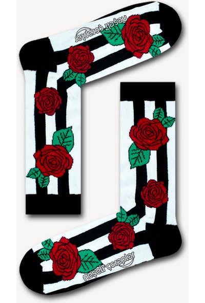 Şeritli Gül Renkli Erkek Çorap