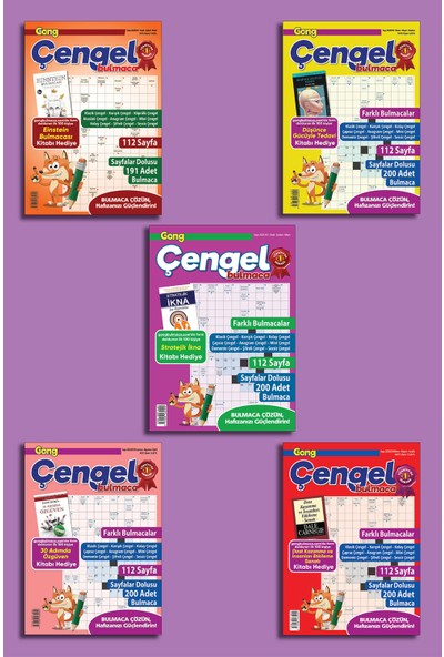 Gong Çengel Bulmaca 5'l Set