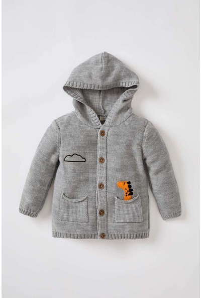 DeFacto Erkek Bebek Kapüşonlu Dinozor Figürlü Triko Hırka W6533A222SP