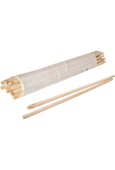 Güntaş Uzun Tırmık Sapı