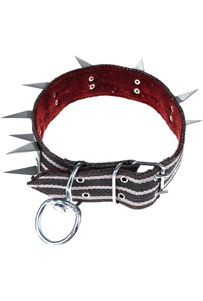 Güntaş Palaska Çivili Tasma Güntaş Palaska Çivili Tasma