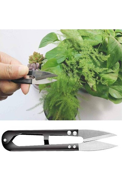 Homecare Çiçek Kesme Bakım Makası 715722