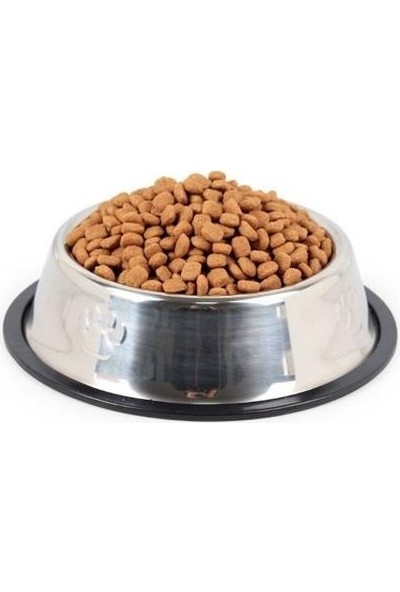 Jetfast Paslanmaz Çelik Mama Kabı 15 cm Jetfast Paslanmaz Çelik Mama Kabı 15 cm