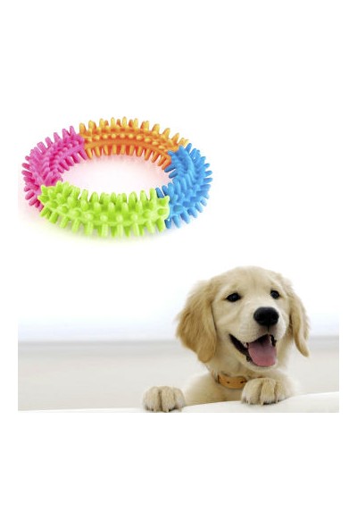 Proithalat Köpek Oyuncağı Yuvarlak Diş Temizleyici Oyuncak