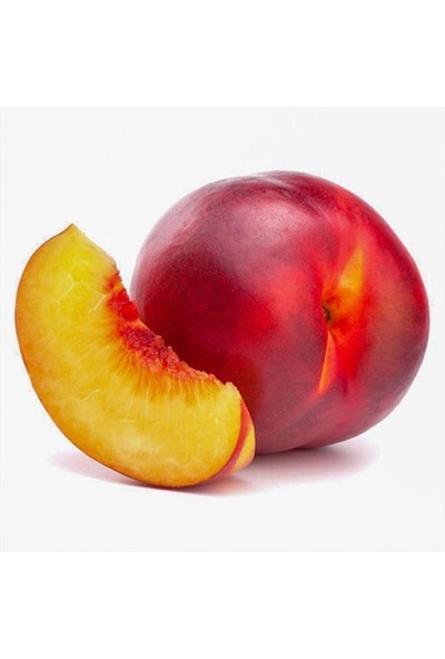 Karadağ Fidancılık Aşılı Nektarin Fidanı ( Tüysüz Şeftali ) 3 Yaş Karadağ Fidancılık Aşılı Nektarin Fidanı ( Tüysüz Şeftali ) 3 Yaş