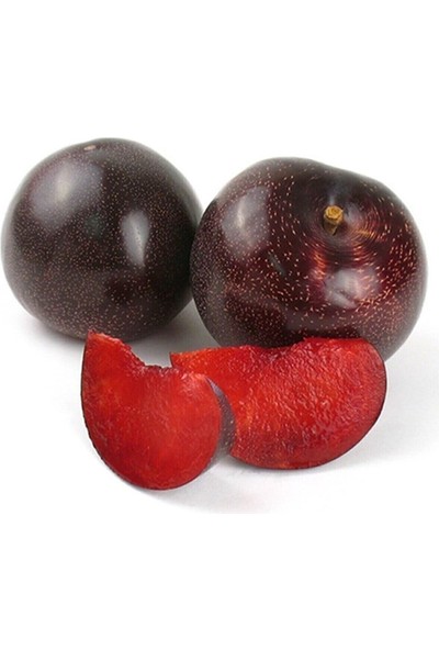 Karadağ Fidancılık Aşılı Kırmızı Erik Fidanı 3 Yaş