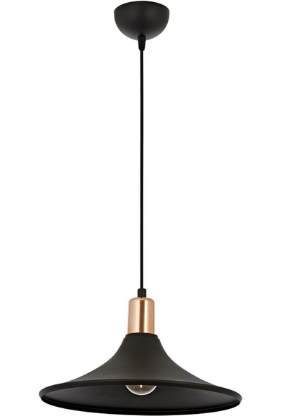 Avonnı Siyah Boyalı Modern Avize E27 Metal 30CM Avonnı Siyah Boyalı Modern Avize E27 Metal 30CM