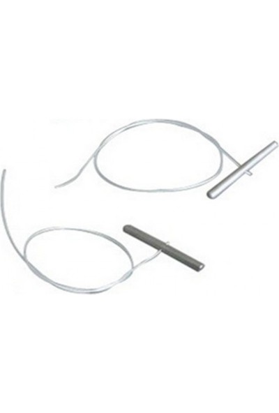 Forvet Abomasum Ipı