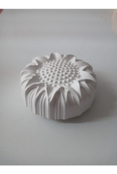 Bulut Büyük Boy Gaga Taşı 2 Adet