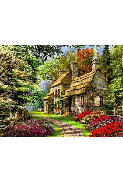 Womb Hobby Ormandaki Ev Sayılarla Boyama Seti 40X50 cm Tuvale Gerili