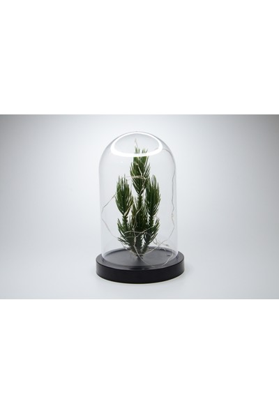 3M1W Işıklı Çi̇çekli̇ Fanus 3M1W Işıklı Çi̇çekli̇ Fanus