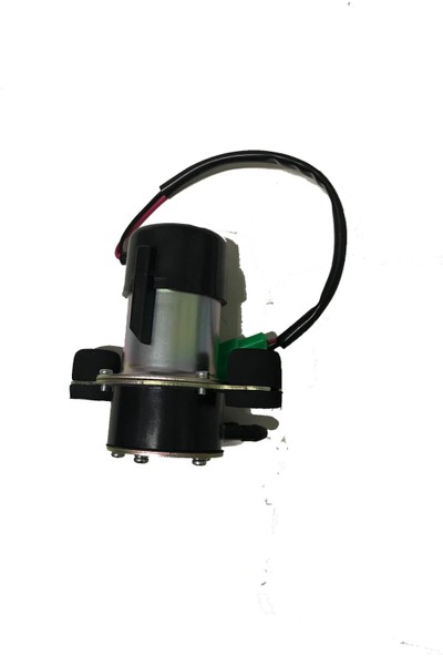 Raion Benzin Otomotiği