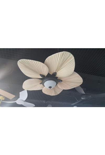 Last Touch LED Işıklı Tavan Vantilatörü
