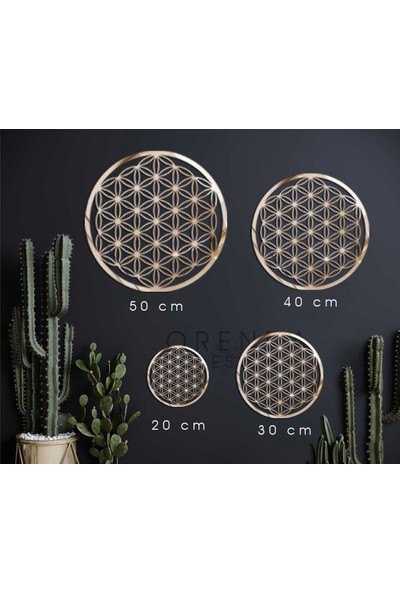 Orenda Design Kutsal Geometri 3'lü Set Yaşam Çiçeği-Torus-Sriyantra Gold Duvar Panosu