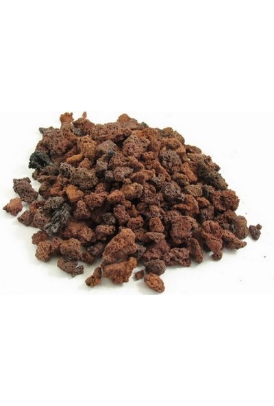 Ans Lav Kırığı 1 kg Ince Kırım Bitkili Akvaryum Için Ideal.