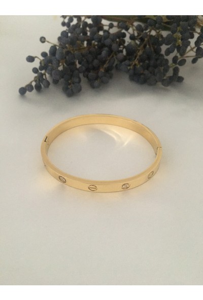 Eda Çelik Taşlı Cartier Bileklik Eda Çelik Taşlı Cartier Bileklik