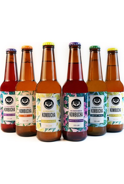 Fermenteana Kombucha 6'lı Karışık Paket