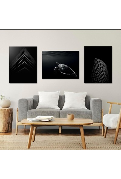 Kitap Şeyleri 3 Parça Siyah Beyaz Kaplumbağa ve Şekiller Mdf Tablo 30X40 Kitap Şeyleri 3 Parça Siyah Beyaz Kaplumbağa ve Şekiller Mdf Tablo 30X40